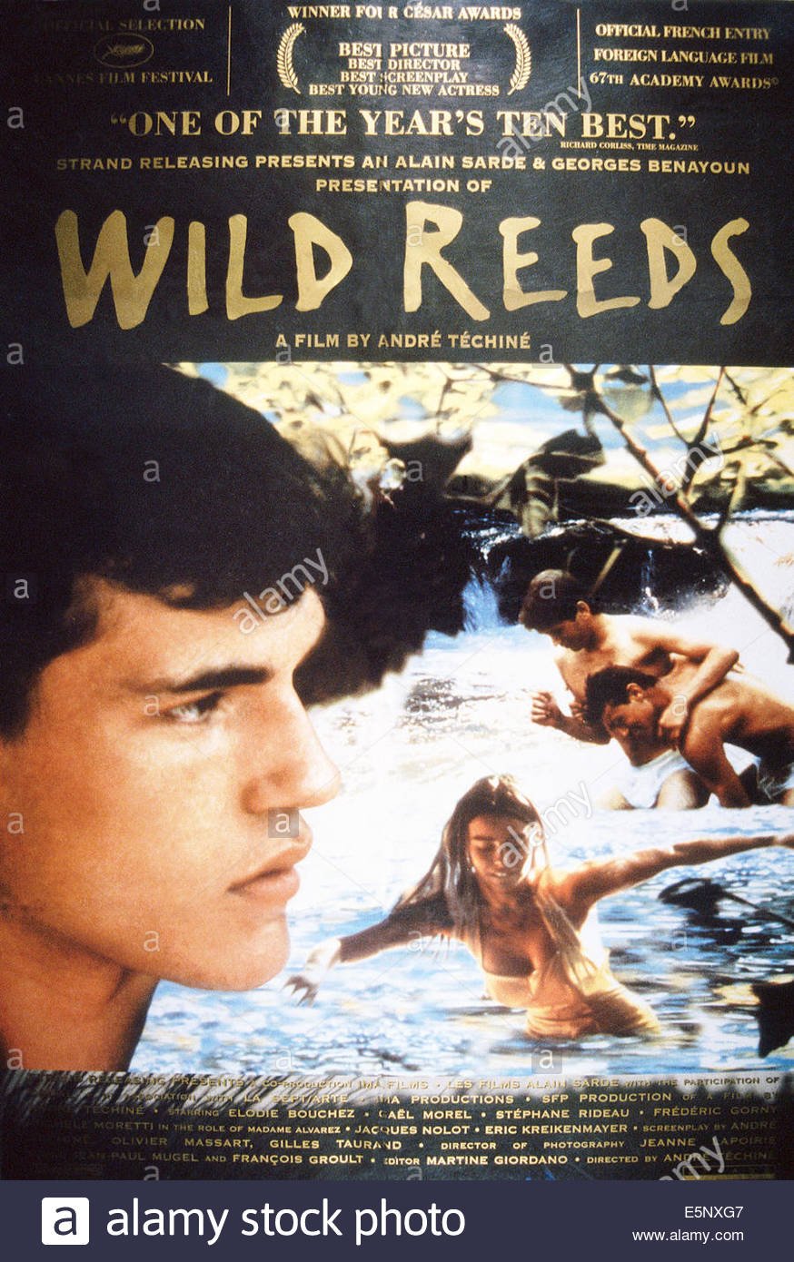 WILD REEDS - Movieguide | Movie Reviews for Families