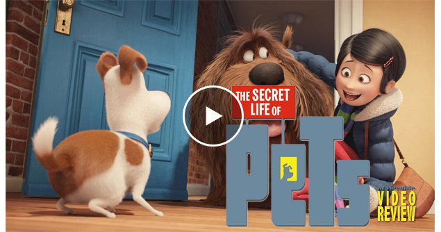 THE SECRET LIFE OF PETS Video Review - Movieguide | The Family Guide to ...