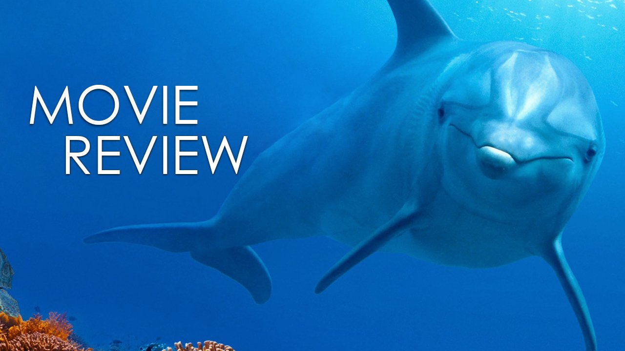 DOLPHIN REEF - Family Sticks Together, Even Under the Waves ...