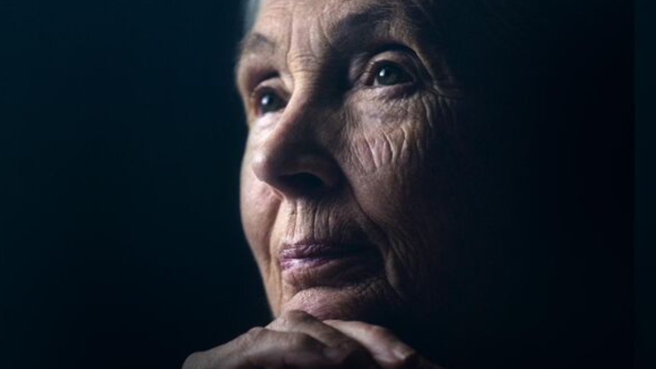 JANE GOODALL: THE HOPE - Movieguide | Movie Reviews for Families