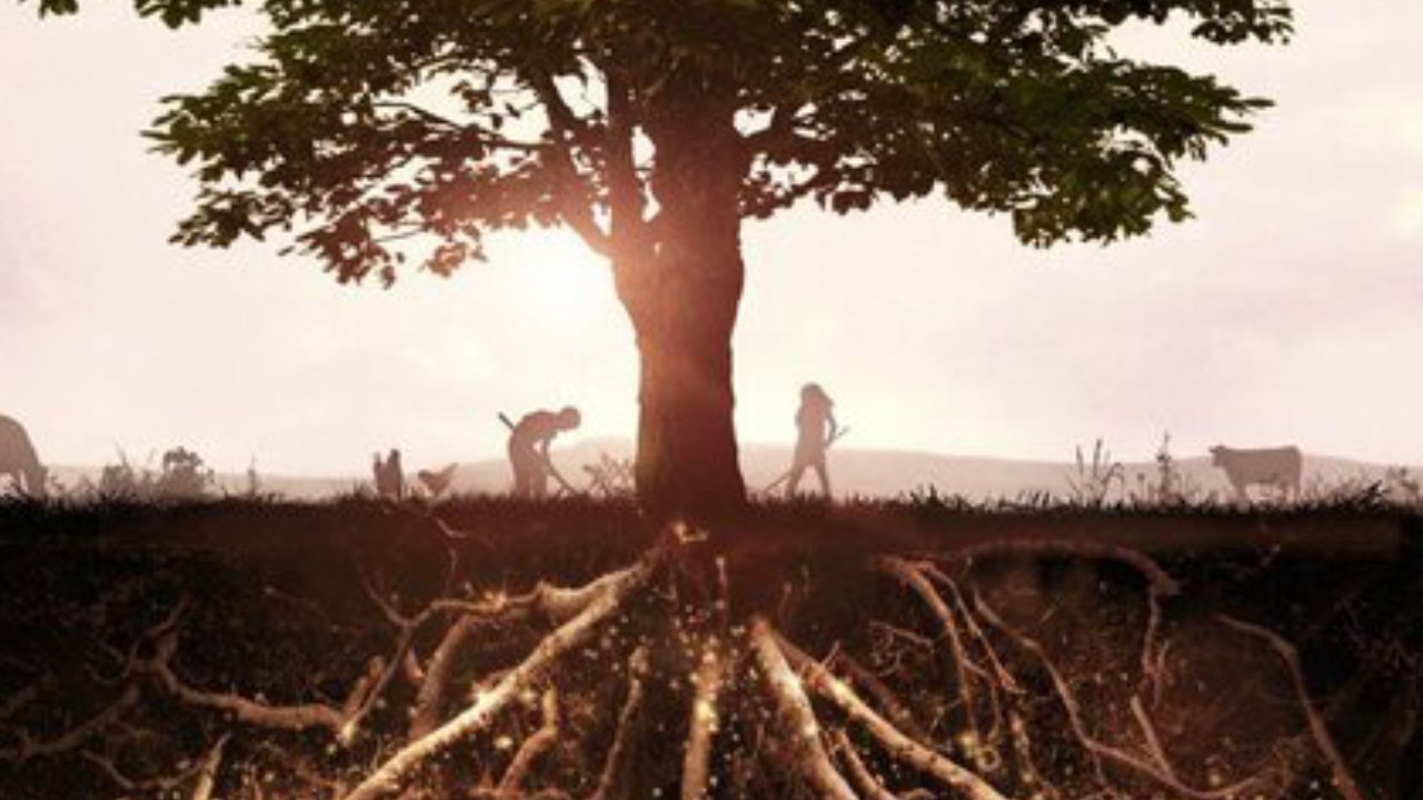 KISS THE GROUND - Movieguide | Movie Reviews for Families