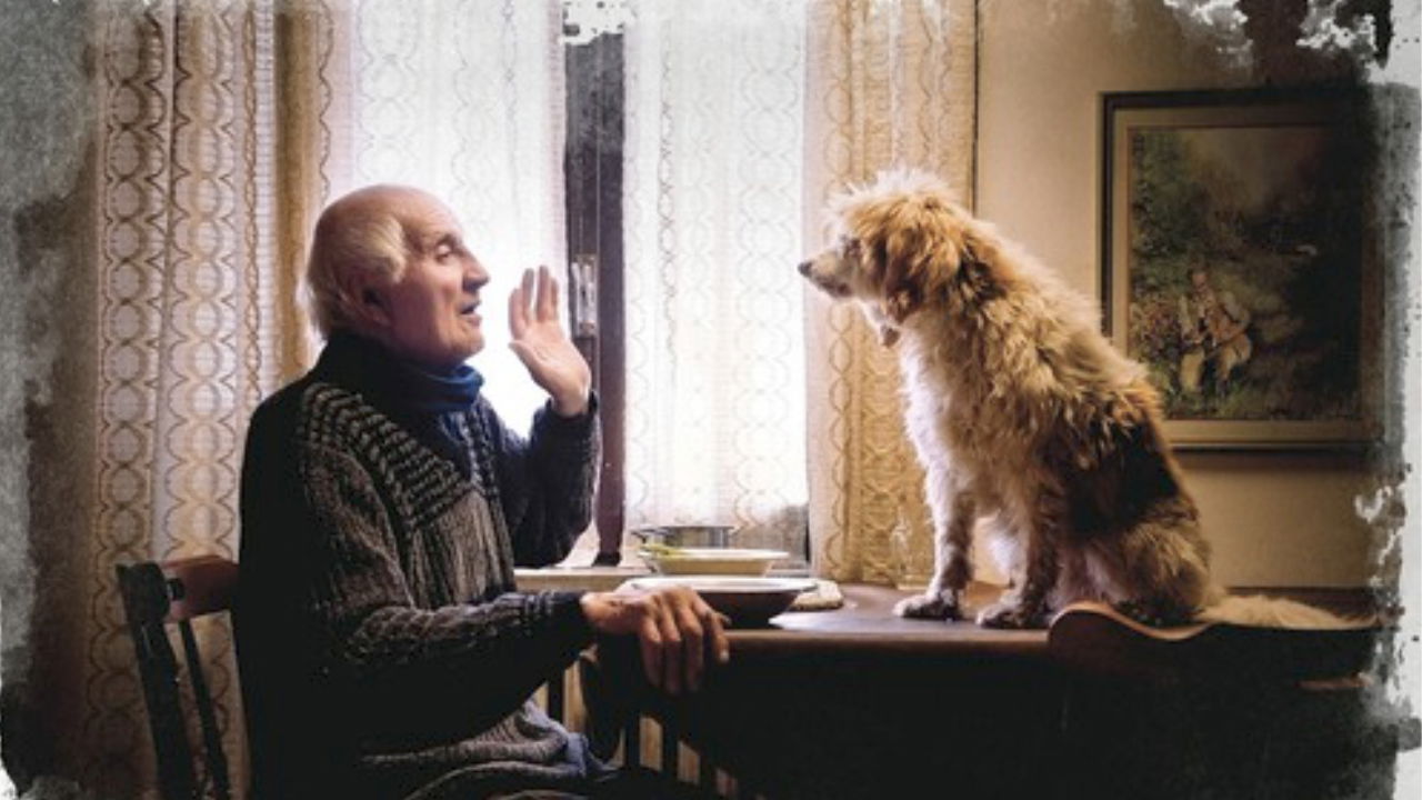 THE TRUFFLE HUNTERS - Movieguide | Movie Reviews for Families