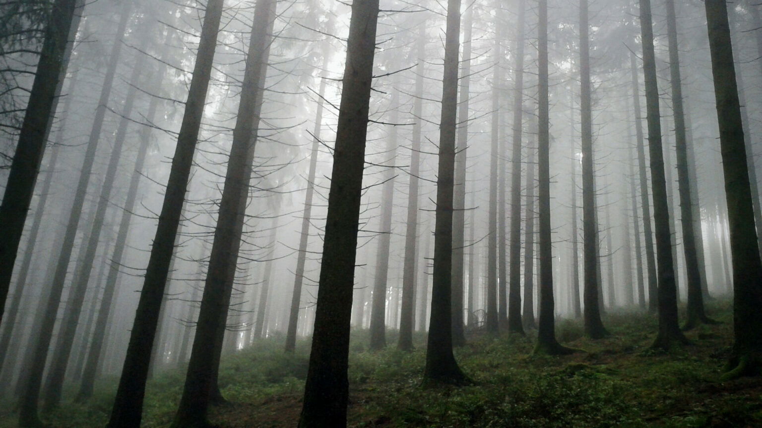 Ex-Psychic Warns Against Being 'Led Astray' By Occult Elements