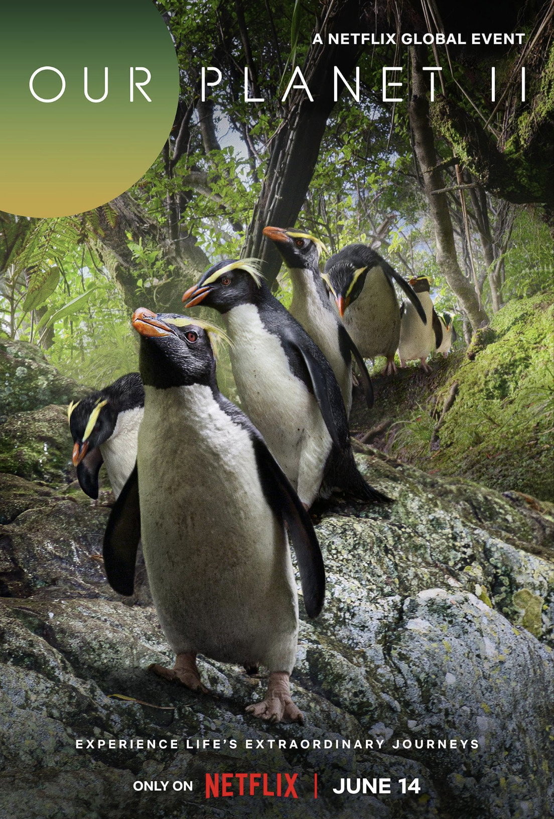 OUR PLANET II - Movieguide | Movie Reviews for Families