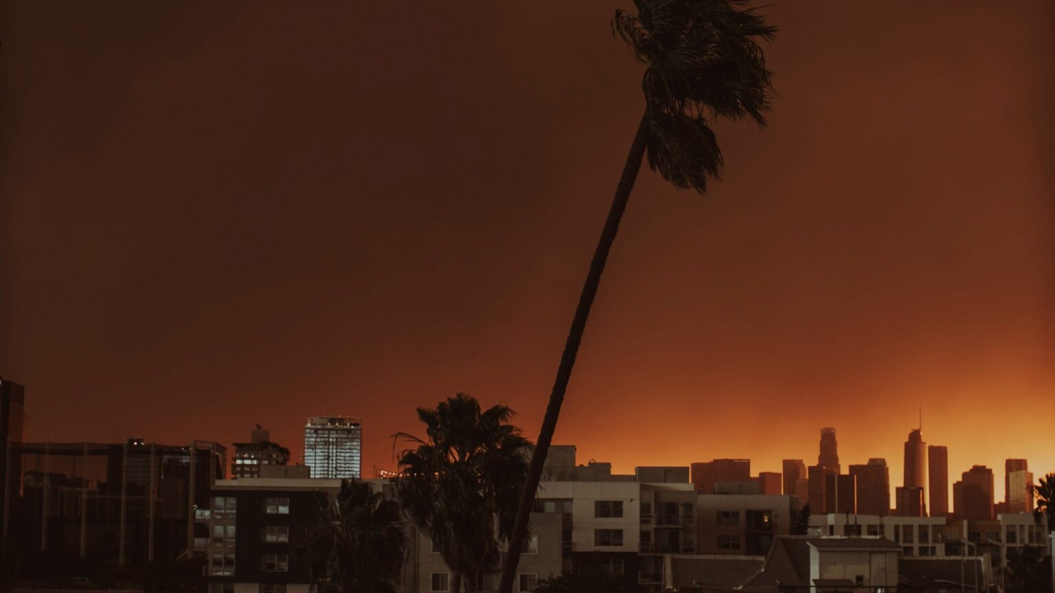 Jane Seymour Takes in Costar Joe Lando Who Lost Home to Fires