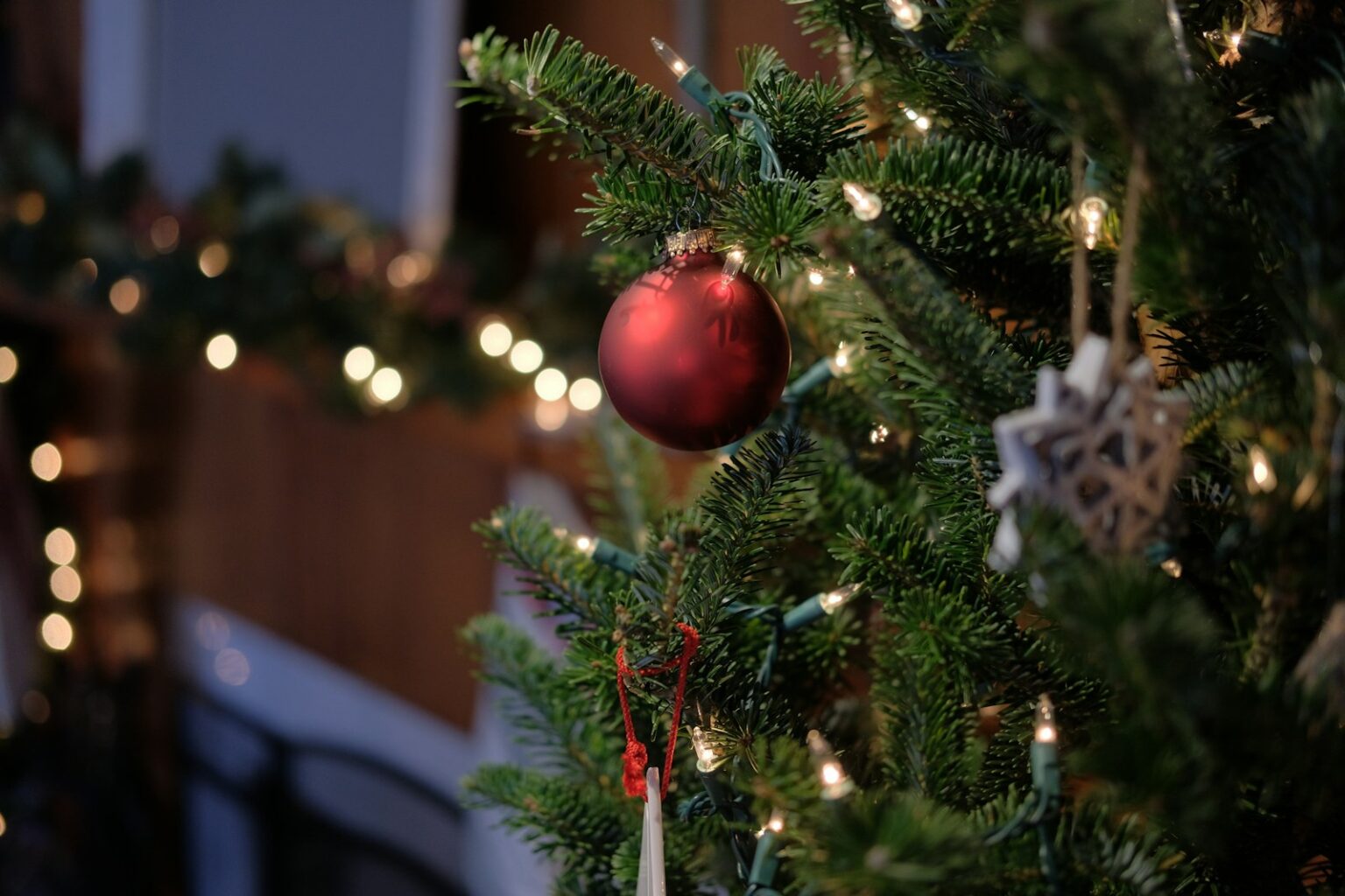 How to Watch the National Christmas Tree Lighting Ceremony